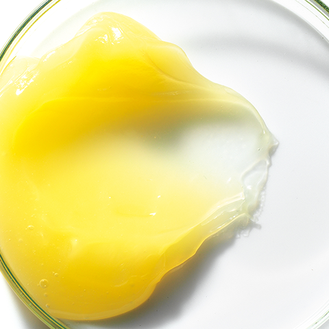 Our History - Nutrimetics